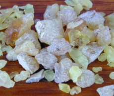 Frankincense Tree Resin 50g | Scent By Nature